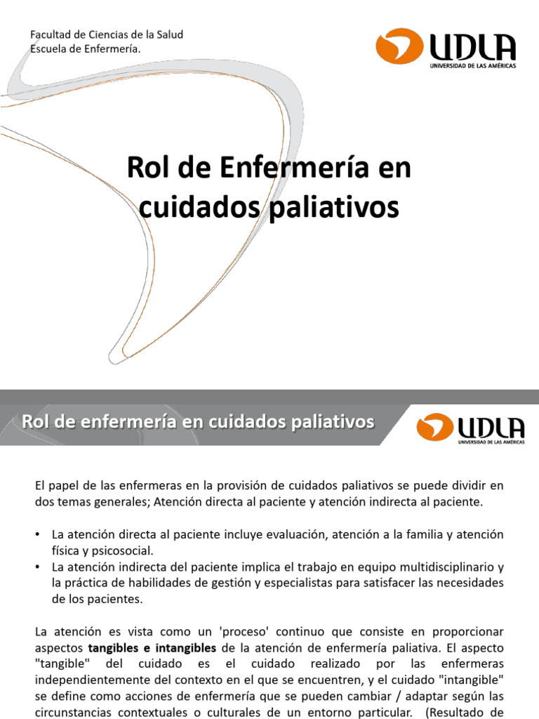 Rol de Enfermer A en Cuidados Paliativos 2023 | PDF | Enfermería | Dolor