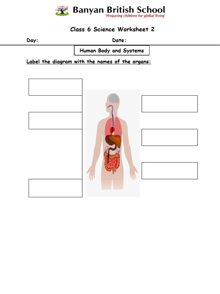Class 6 Science Worksheet 2 | PDF