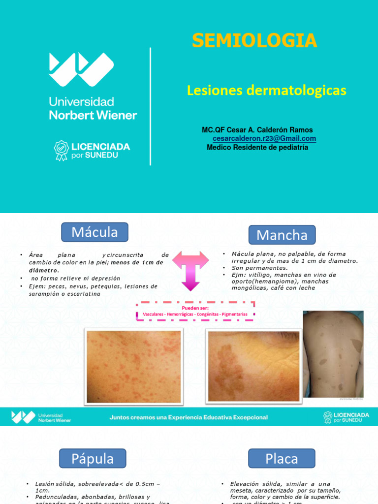 Sesión #12 Lesiones Dermatologicas | PDF | Piel | Medicina