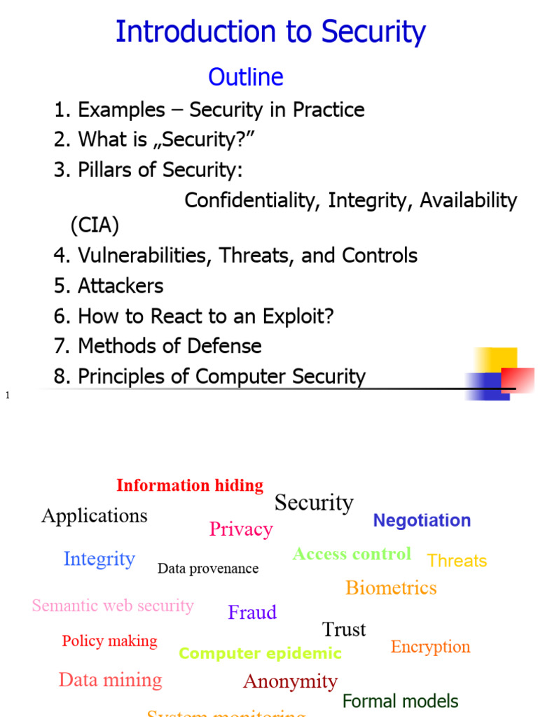 1 Introduction 1 | PDF | Information Security | Security Hacker