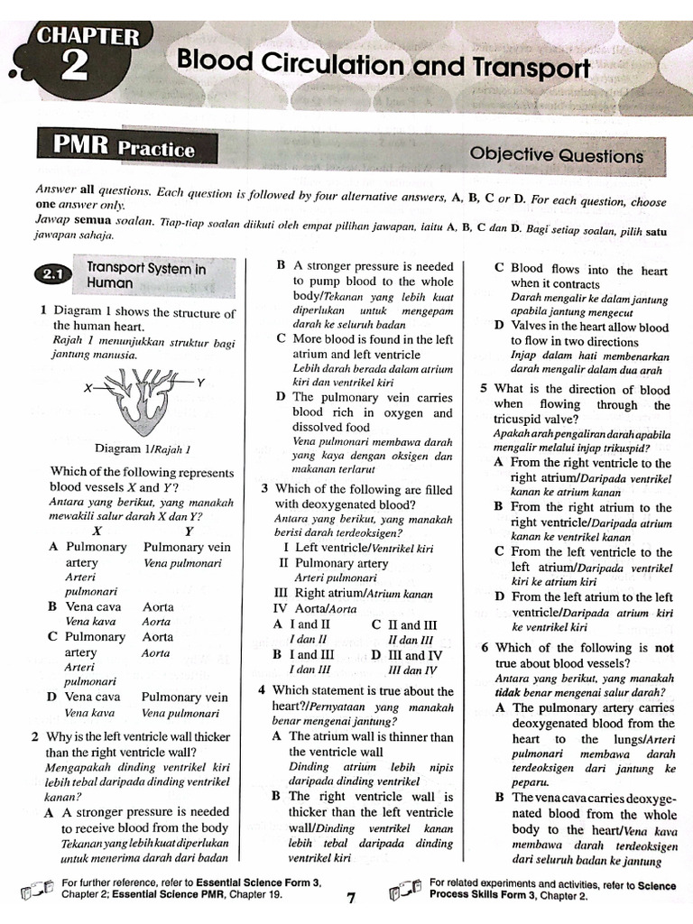 Chapter 3 Form 3 Set 3 | PDF