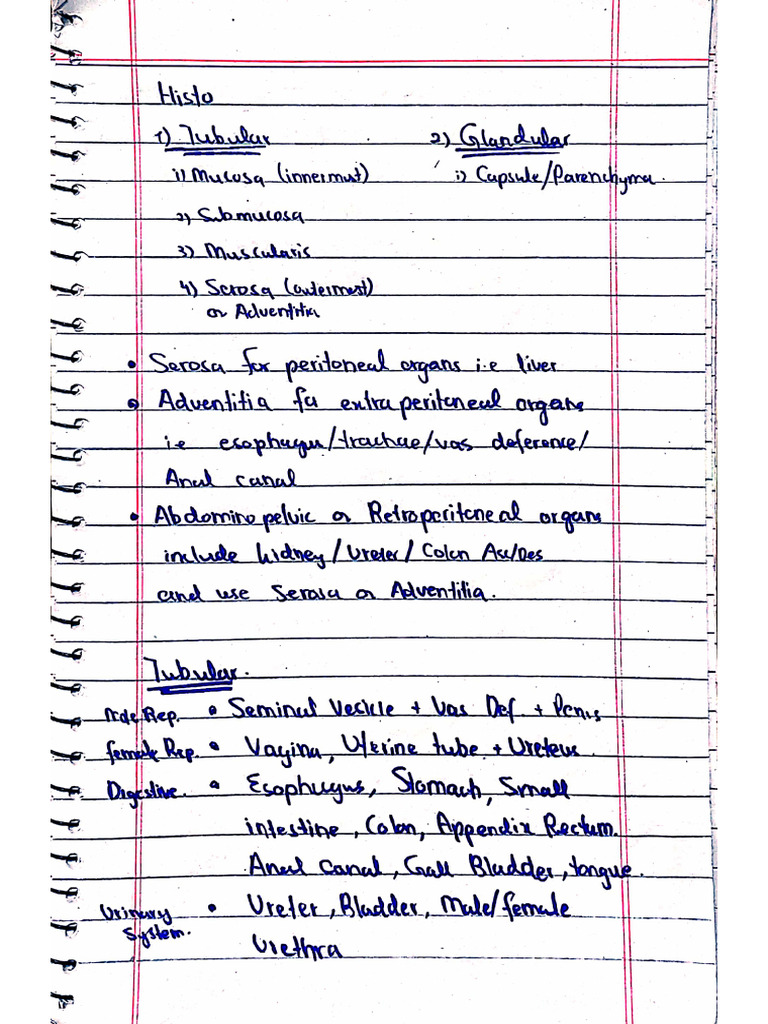 2nd Year Histology Daud Saleem Lecture Notes | PDF