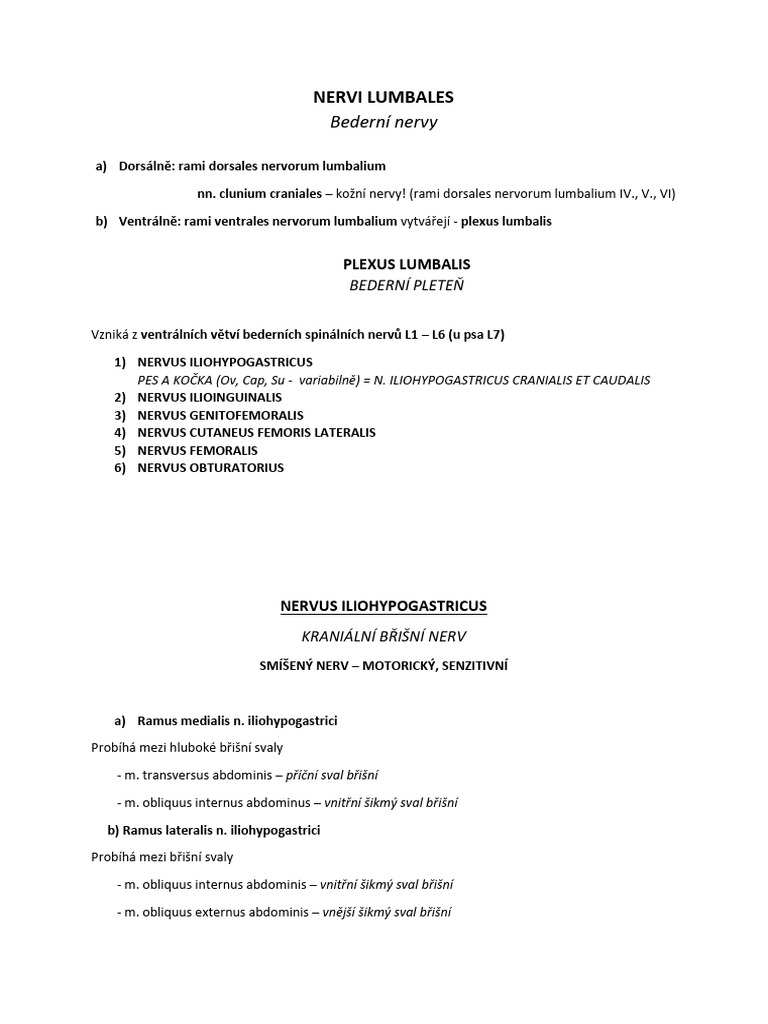 Inervace Pánevní Končetiny 2023 | PDF