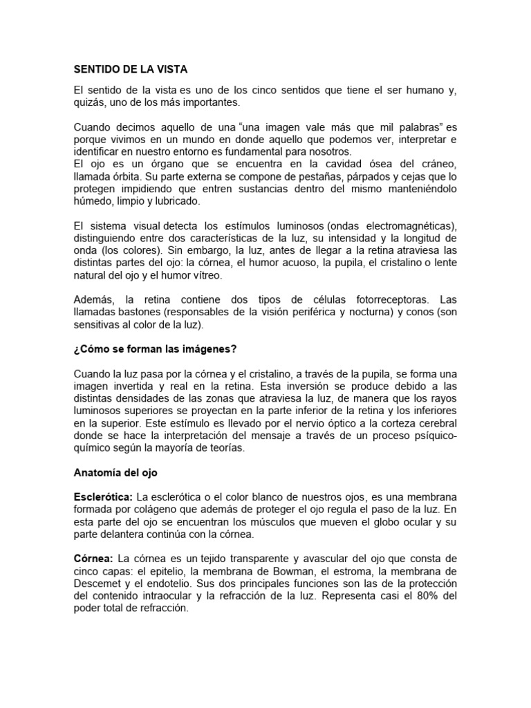 Sentido de La Vista | PDF | Ojo humano | Percepción visual