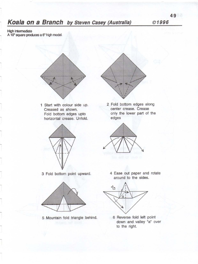 Steven Casey - Koala On A Branch | PDF