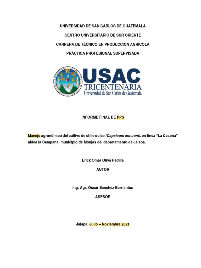 INFORME FINAL PPS Omar Oliva CON CORRECCIONES | PDF