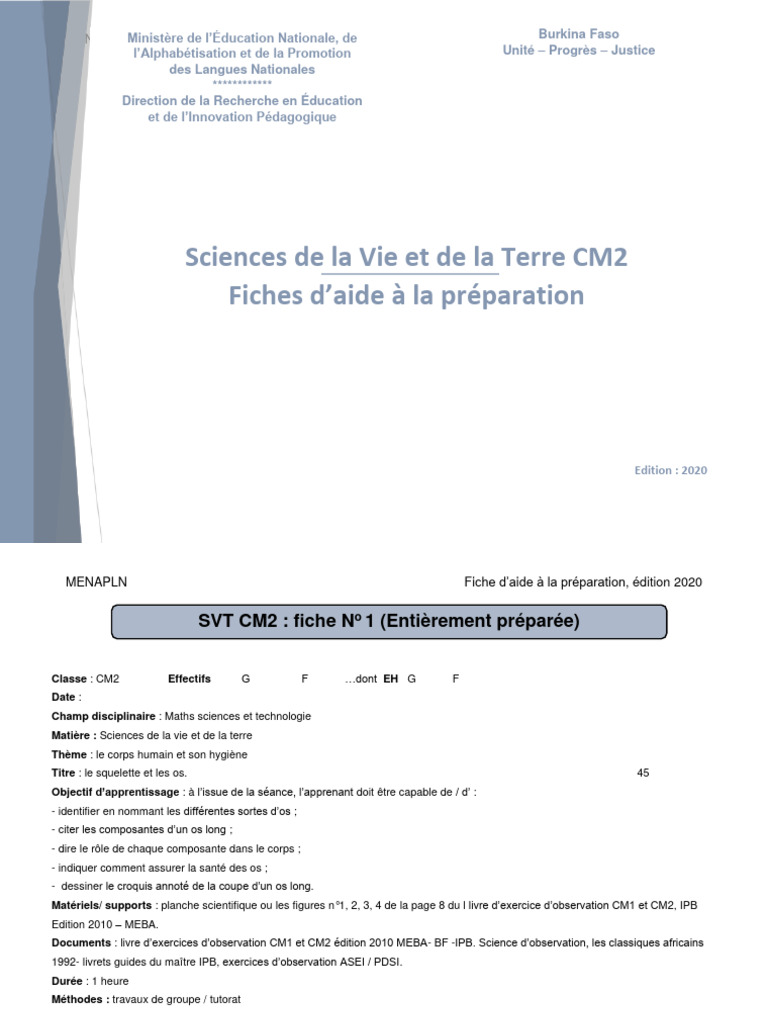 SVT cm2 | PDF | Dent | Os