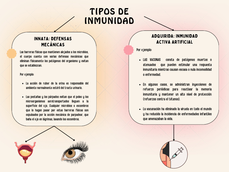Tipos de Inmunidad | PDF