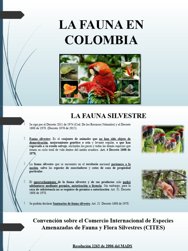 08la Fauna en Colombia 8 | PDF | Cita | Fauna