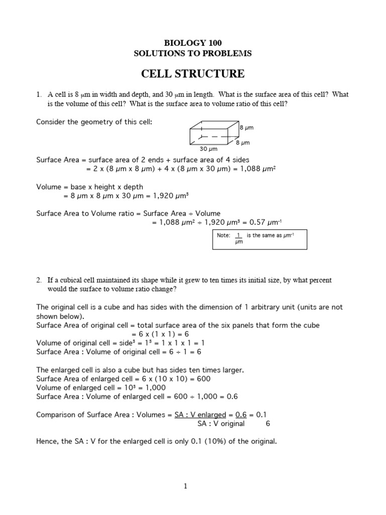 Cell Structure | PDF | Area | Sphere