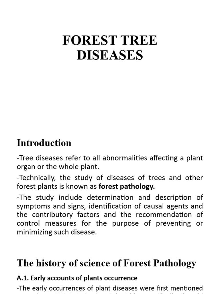 Forest Tree Diseases | PDF | Fungus | Plant Pathology