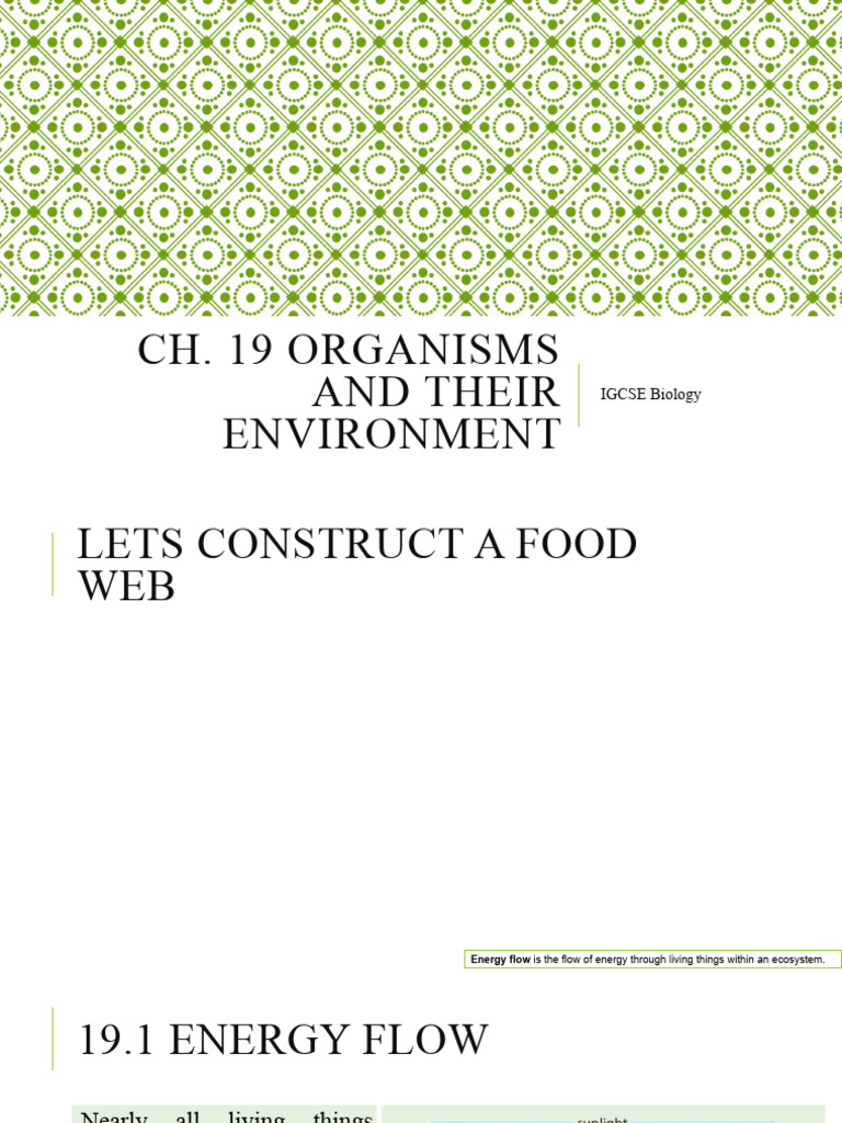 Energy Flow and Ecosystem Dynamics | PDF | Food Web | Soil