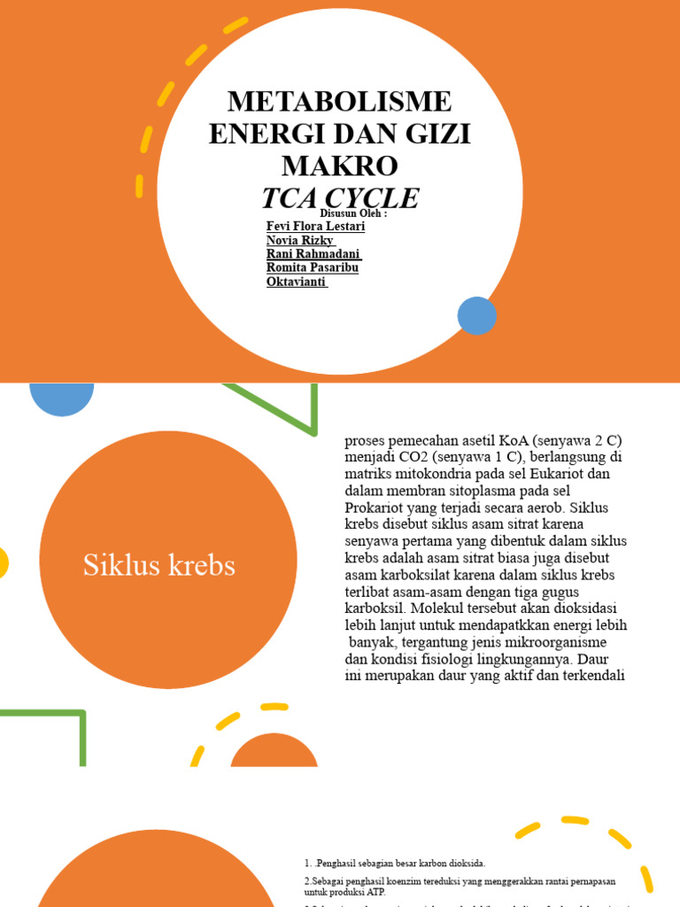 Metabolisme Pada Siklus Kreb (Kelompok) | PDF