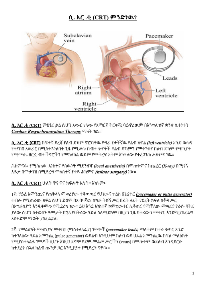 CRT Patient Information Leaflet | PDF