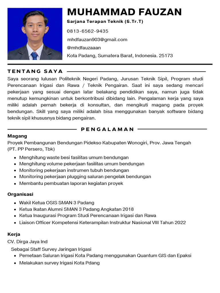 Muhammad Fauzan - CV | PDF | Seni | Teknologi & Rekayasa