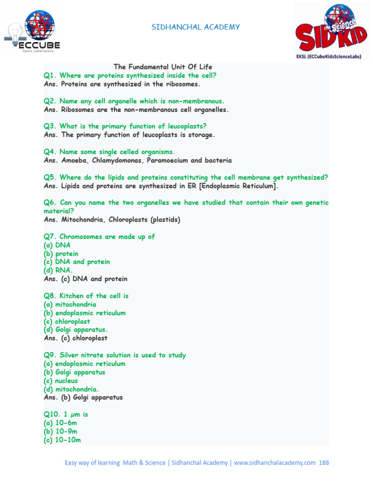 Grade 9 Science Notes Fundamental Unit of Life | PDF | Lysosome | Cell ...