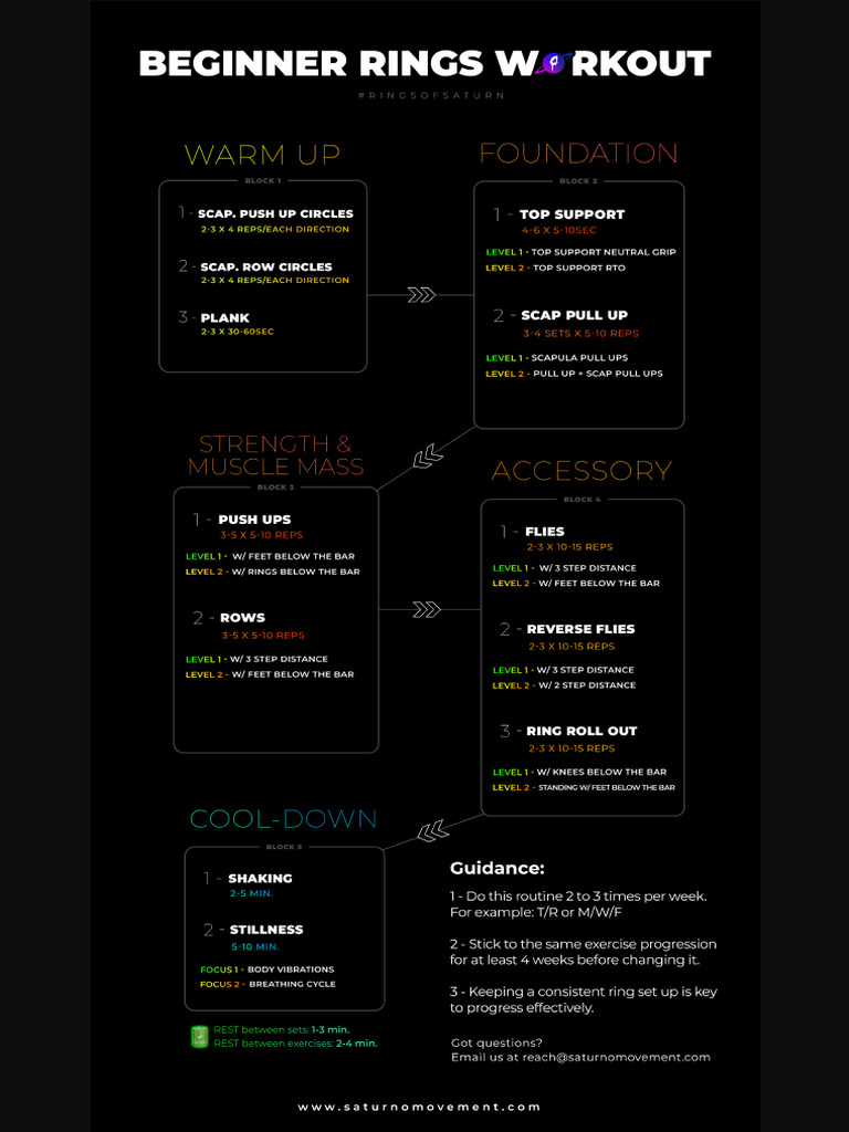 Beginner Rings Workout SM | PDF