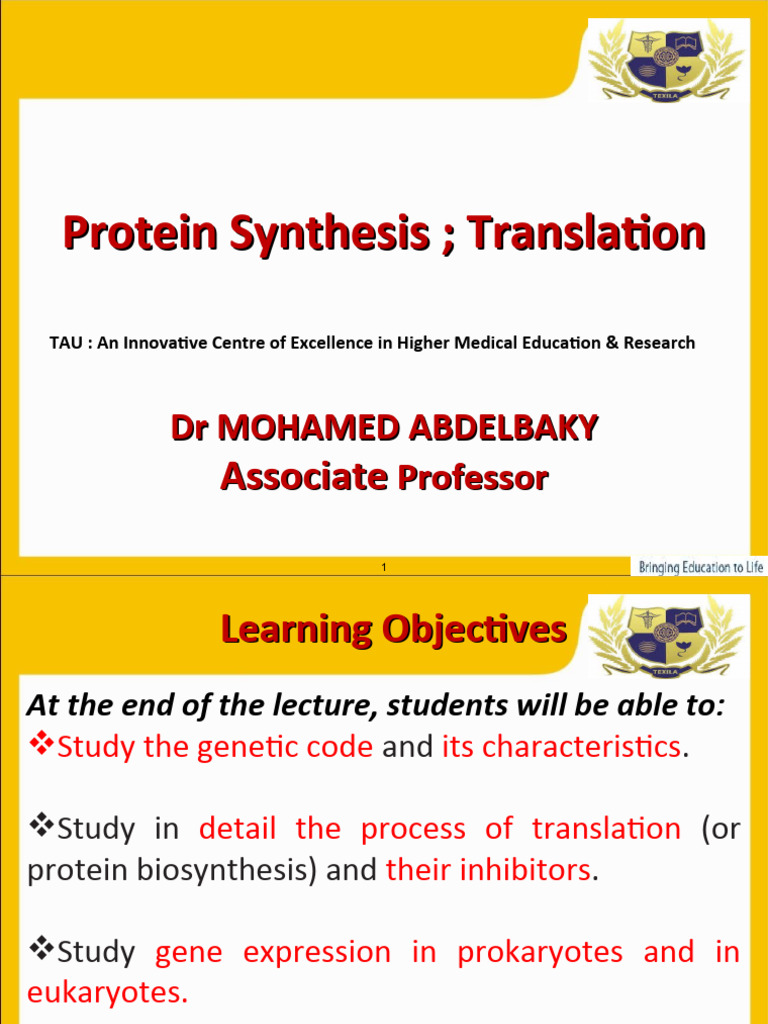 Lecture 9 Translational, Protein Synthesis and Post Translational ...