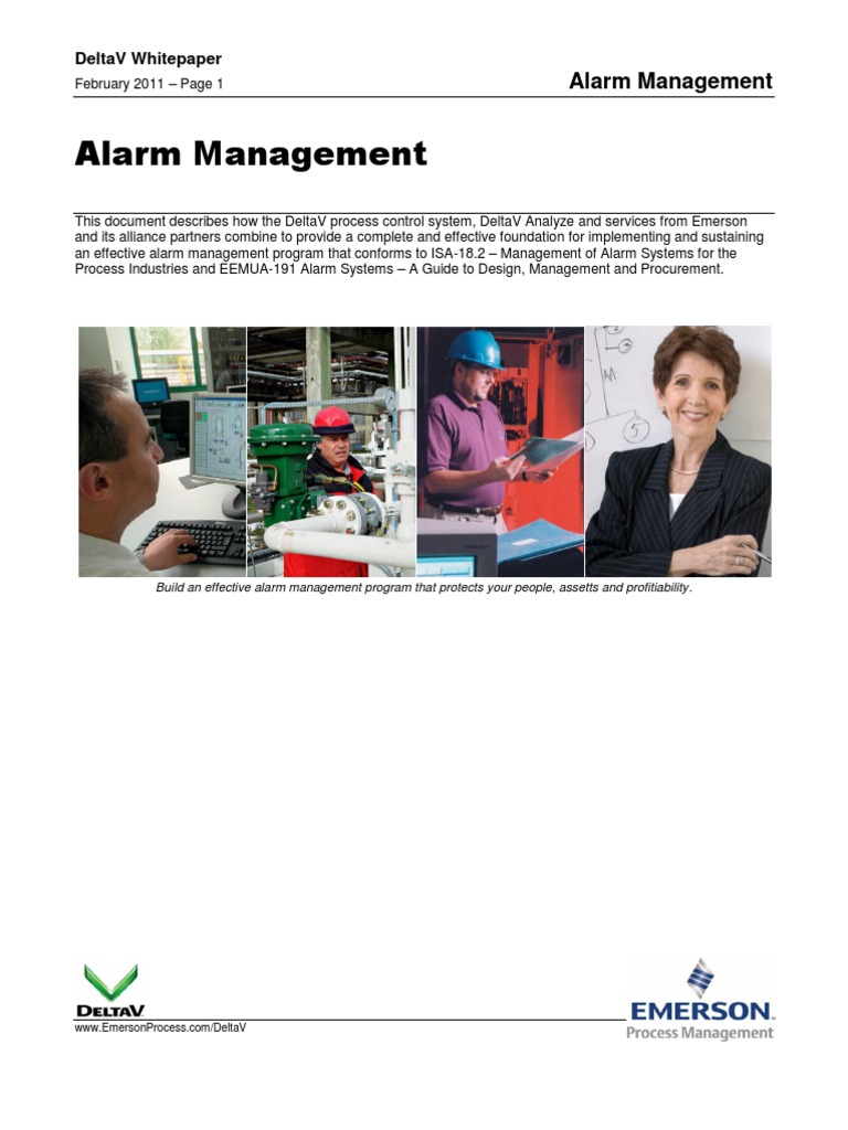 WP DeltaV Alarm Management | PDF | Databases | Audit