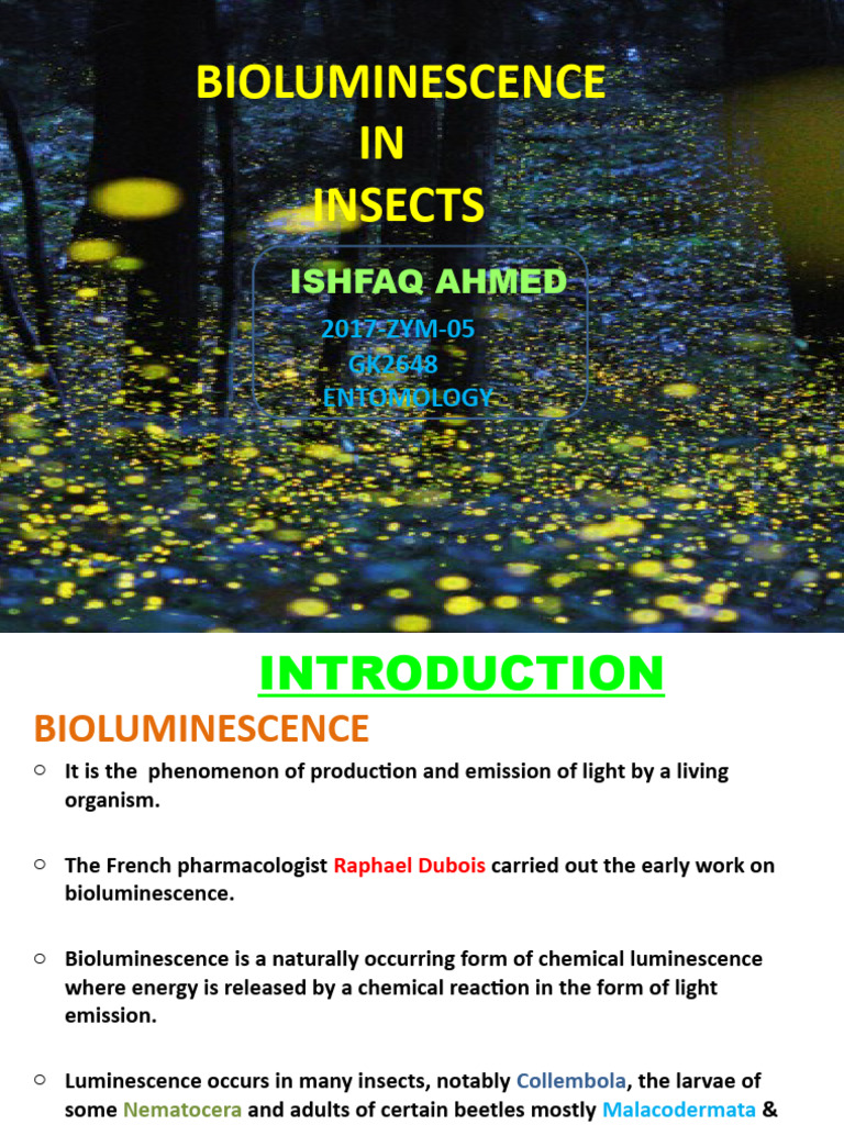 Bioluminescence in Insects: Mechanisms & Significance | PDF ...