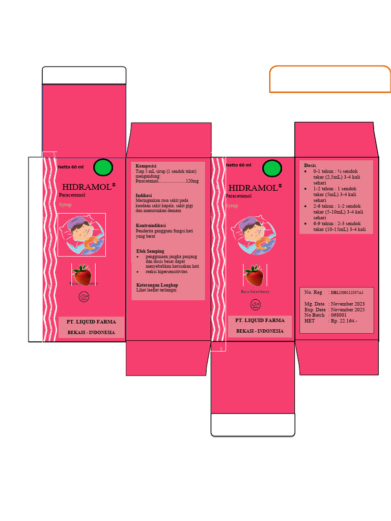 Kemasan Syrup Paracetamol Lilis | PDF