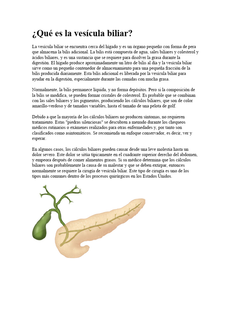 Información sobre la vesícula biliar | PDF | Bilis | Estómago
