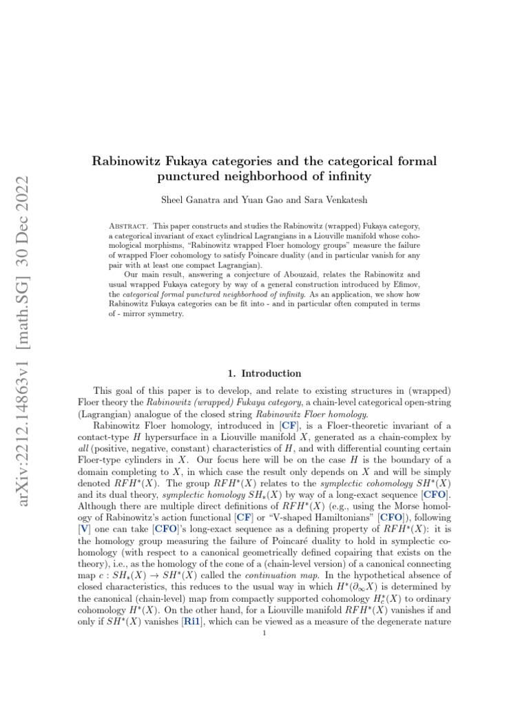 Rabinowitz Fukaya Categories and The Categorical Formal Punctured ...