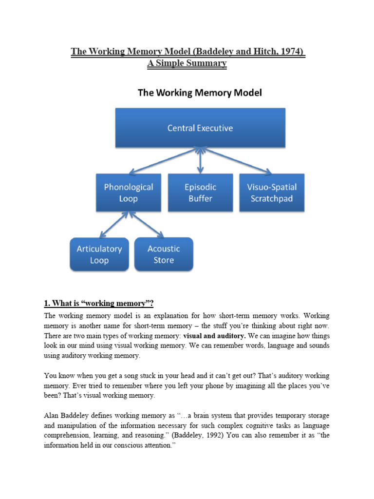 Summary - Baddeley and Hitch, (1974) | PDF | Memory | Working Memory