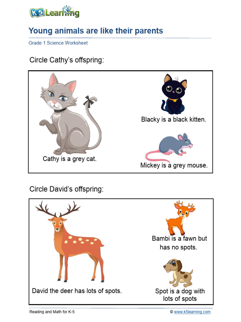 Animal Offspring Characteristics Worksheet | PDF