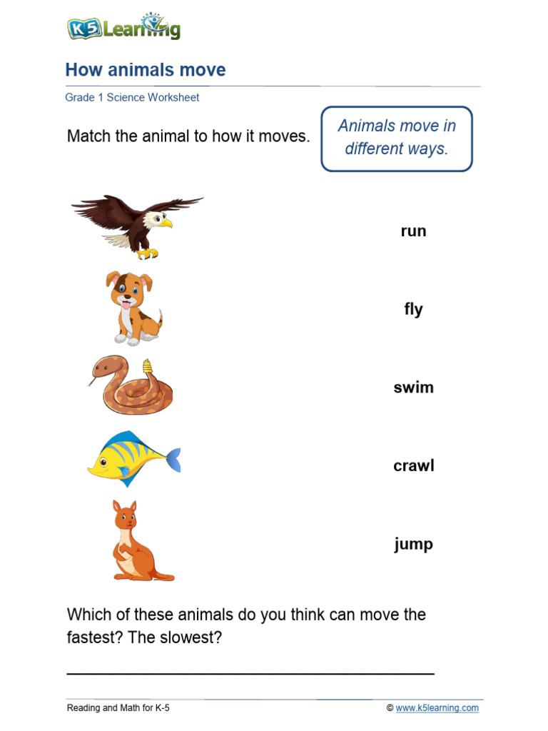 Grade 1 Animals Move A | PDF