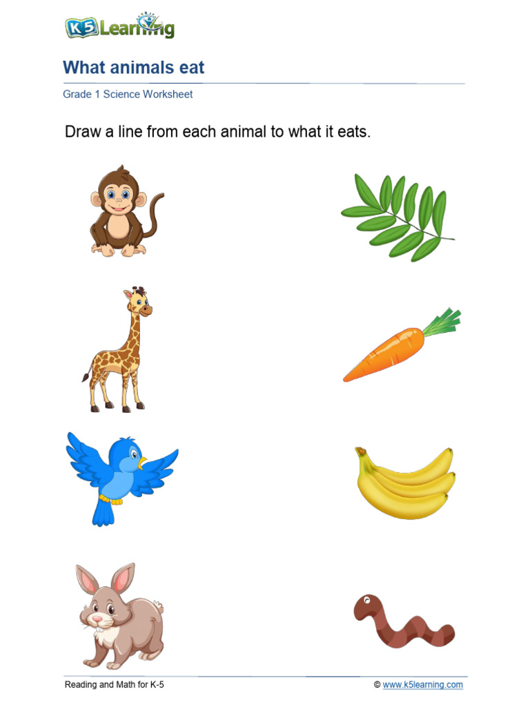 Animals and What They Eat Worksheet | PDF | Language Arts & Discipline ...