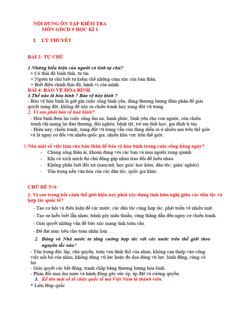 Ni Dung N TP Kim Tra LP 9 HK1 | PDF