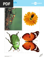 Insects Chart | PDF