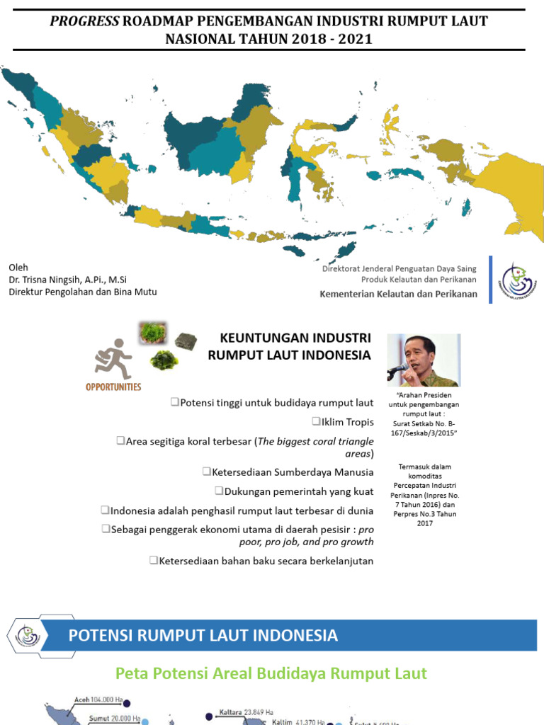 Progress Roadmap Pengembangan Industri Rumput Laut | PDF | Sains & Matematika