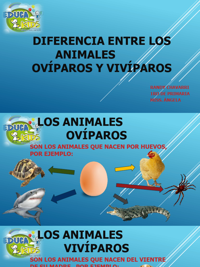 Diferencia Entre Los Animales Ovíparos y Vivíparos | PDF