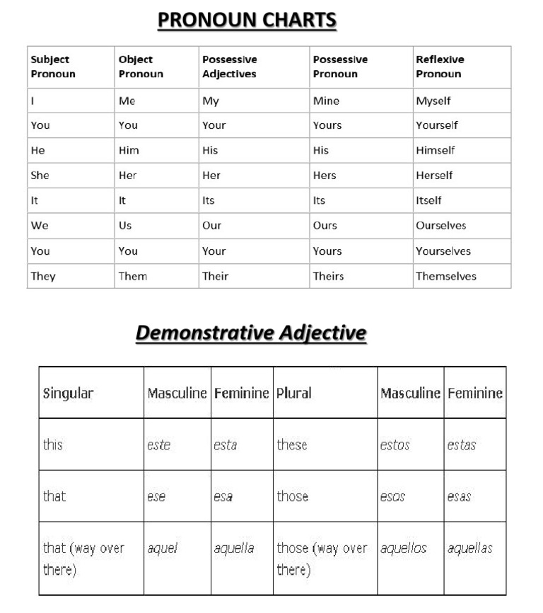 Demonstrative and Pronoun Adjetives | PDF