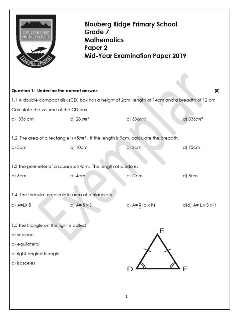 Grade 7 Math Paper 2 Mid Year Examination 2019 | PDF | Area | Triangle