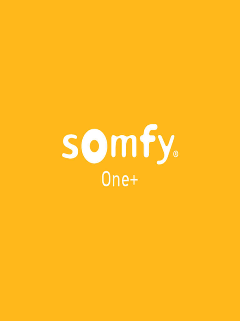 Manual Somfy One | PDF