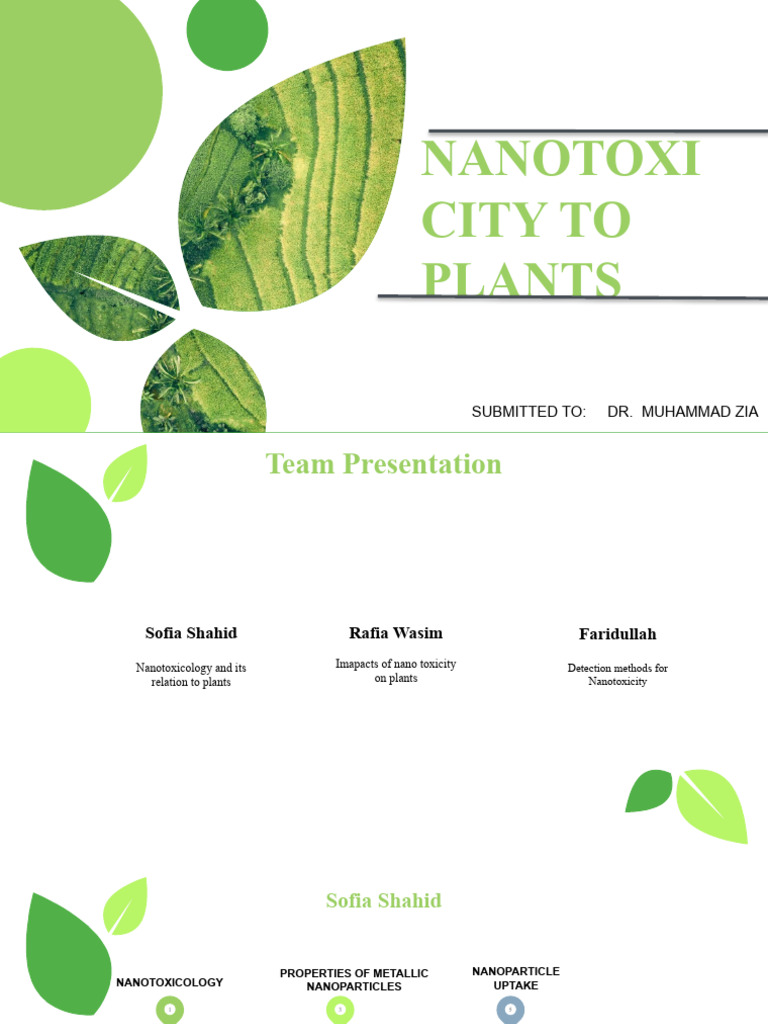 Nanotoxicity Presentation | PDF | Microscope | Nanotoxicology