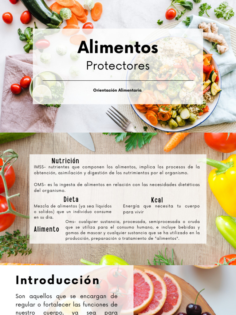 OA Alimentos Protectores | PDF | Alimentos | Fibra dietética