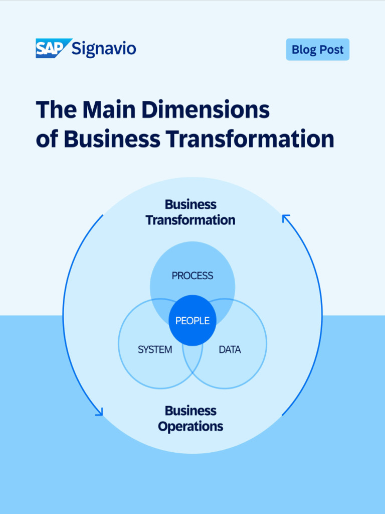 The Main Dimensions of Business Transformation 1700911201 | PDF