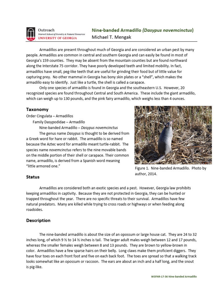 Armadillo Fact Sheet - UGA | PDF | Trapping