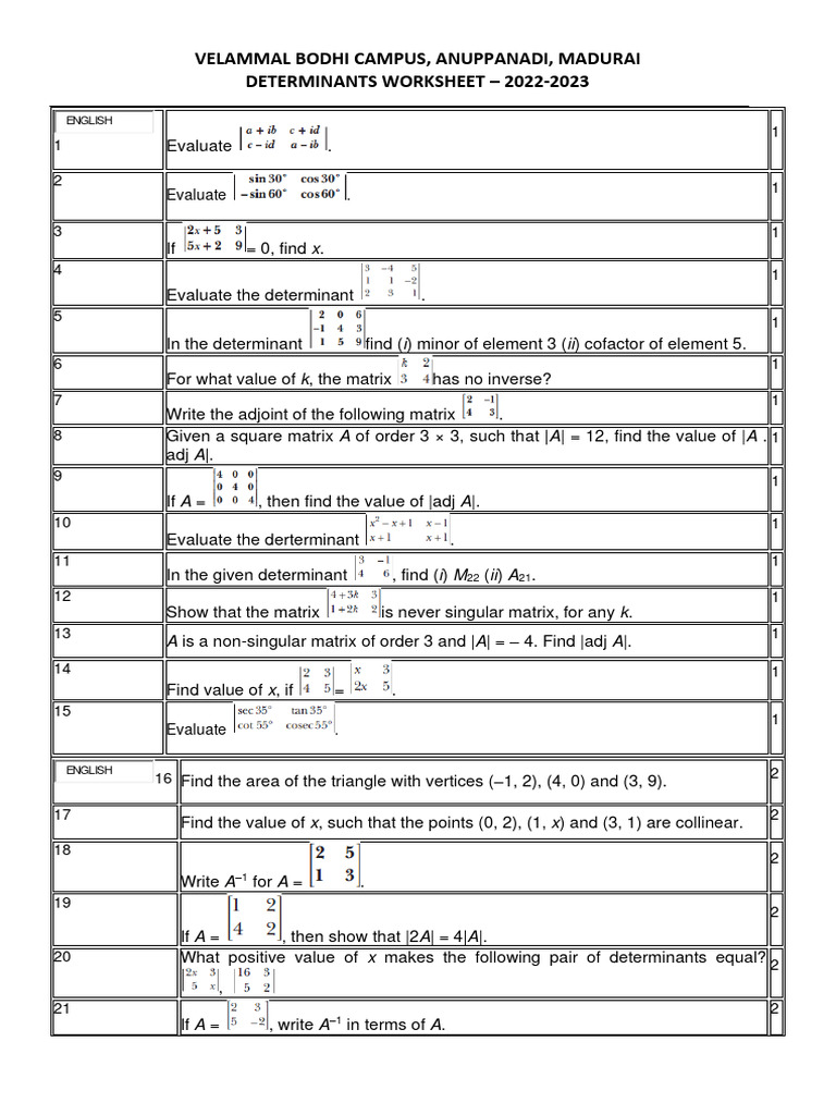 Class 12 Determinants Worksheet | PDF | Matrix (Mathematics) | Determinant