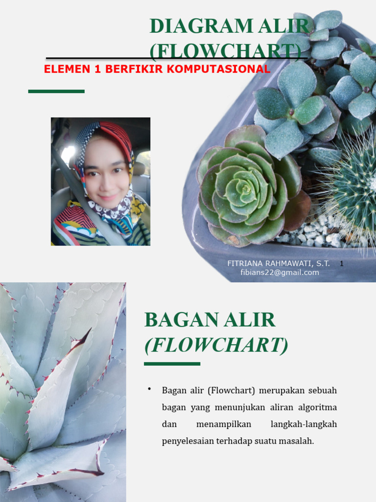Diagram Alir (Flowchart) | PDF