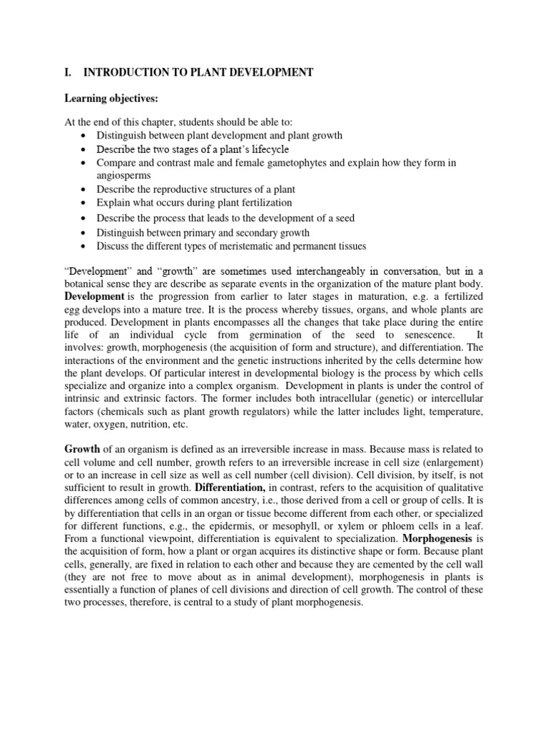 Primary Growth in Plant Development | PDF | Seed | Flowers