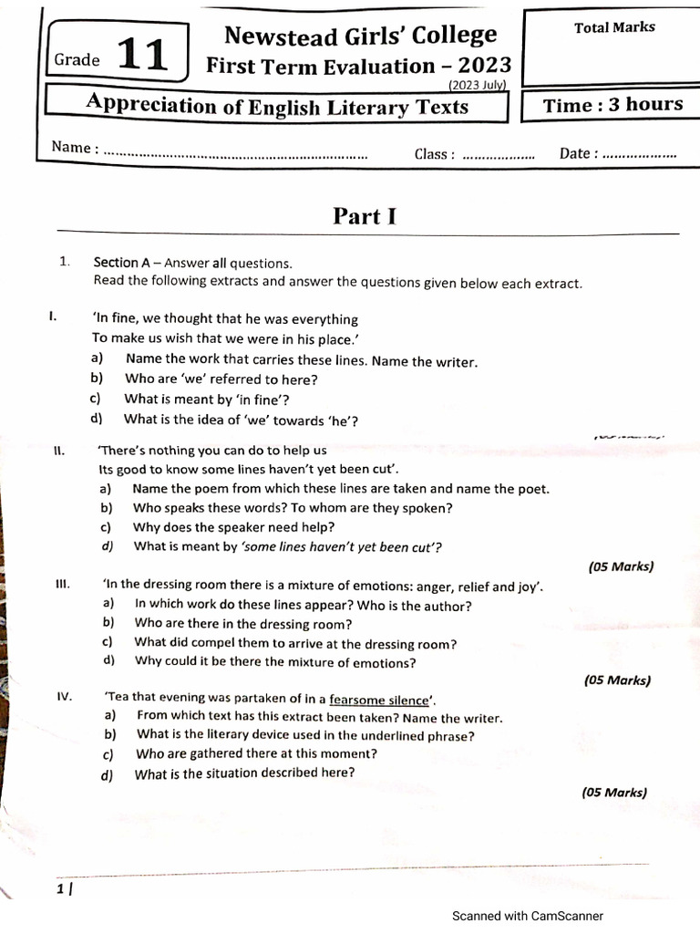 English Literature Grade 11 First Term Test 2023 Newstead Girl's | PDF