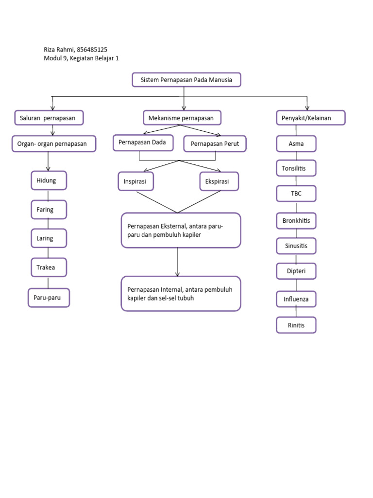 Peta Konsep Ipa Modul 9 | PDF