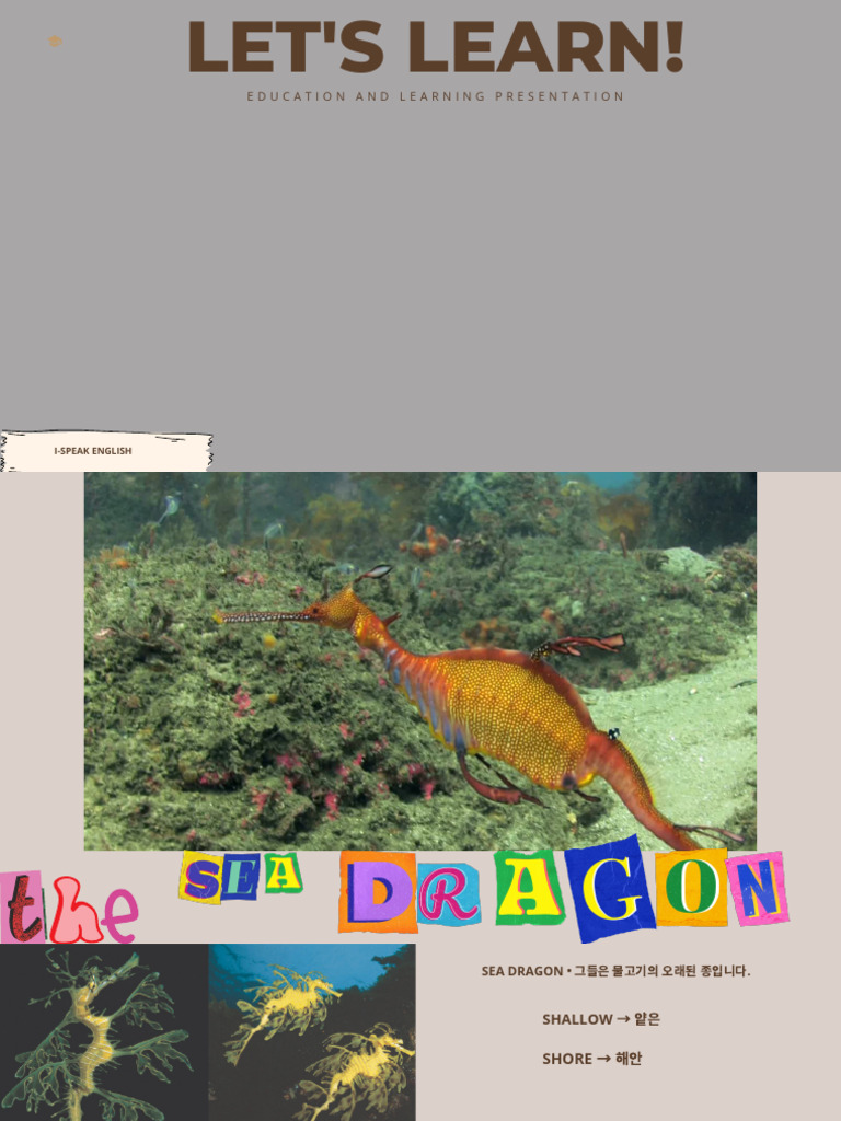 PDF Seadragon | PDF