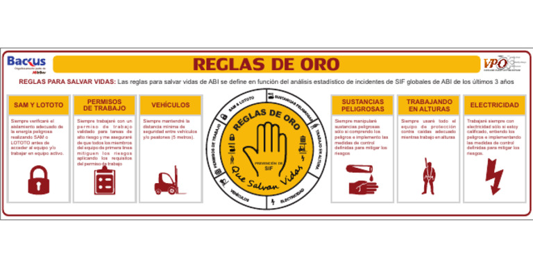 6 REGLAS DE ORO Oficina SHI | PDF | La seguridad