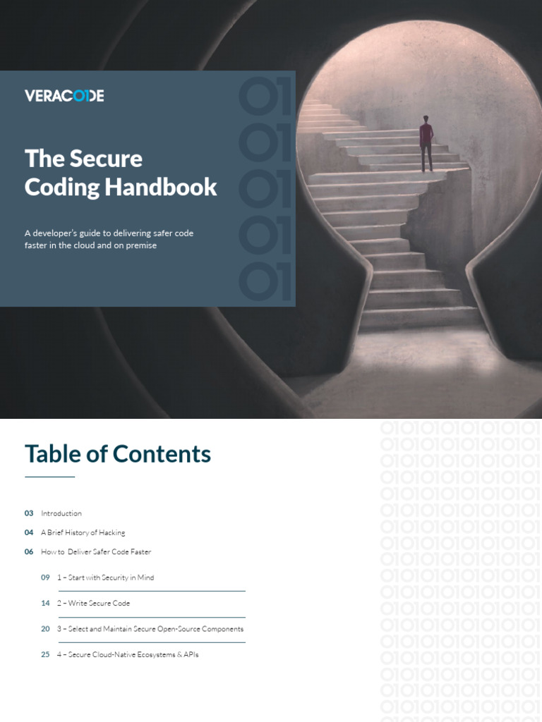 Veracode Secure Coding Handbook Pdf Vulnerability Computing 9595